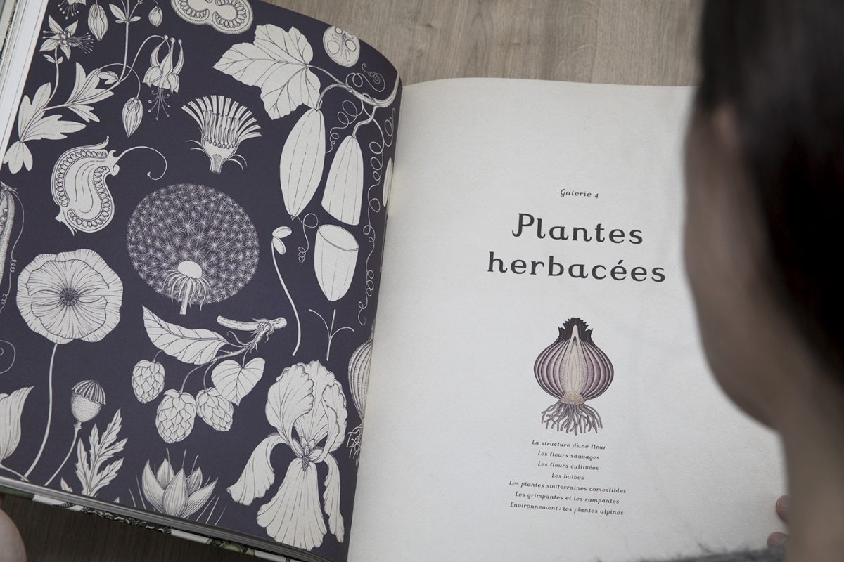 Botanicum, un livre pour les amoureux des plantes - Lalouandco